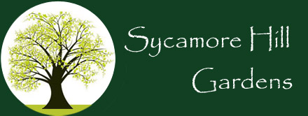 Logo Image Sycamore Hill Gardens Green Grass – Sycamore Hill Gardens